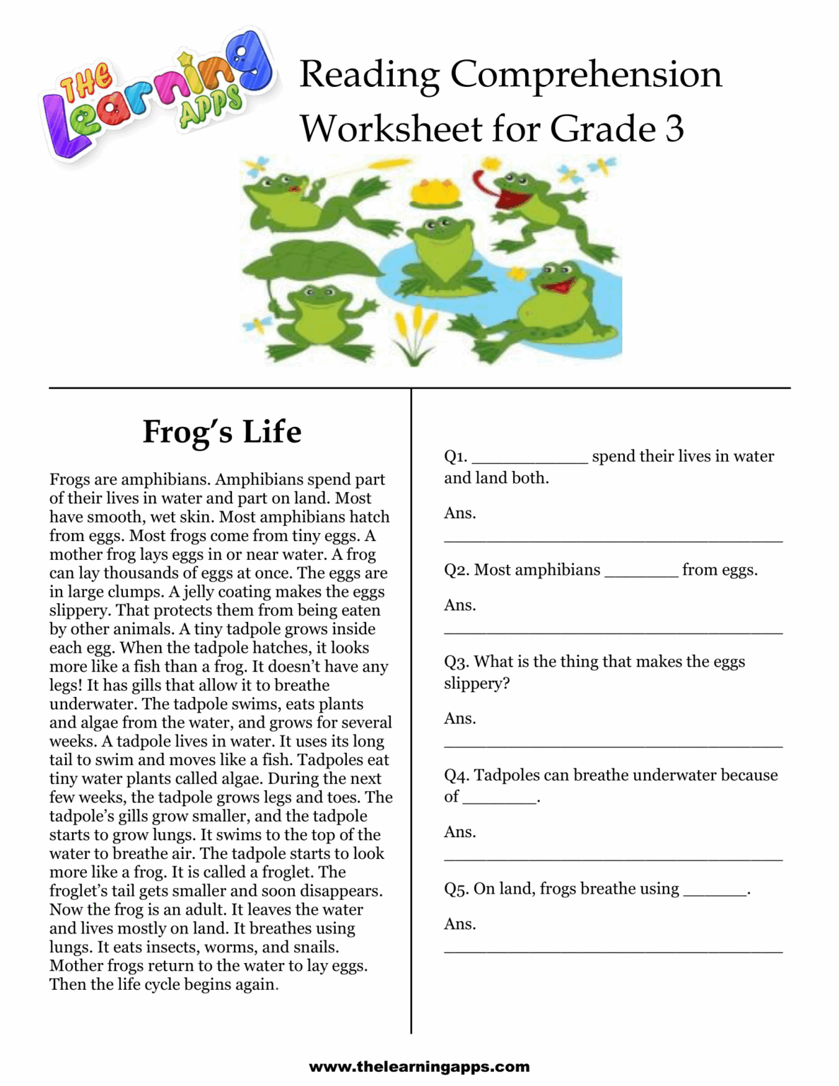 Turtle Diary Reading Comprehension Worksheets - Reading Comprehension ...