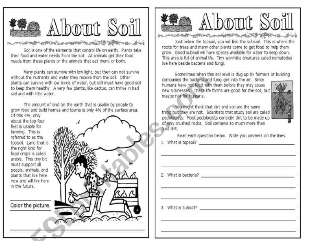 Soil Reading Comprehension Worksheet - Reading Comprehension Worksheets