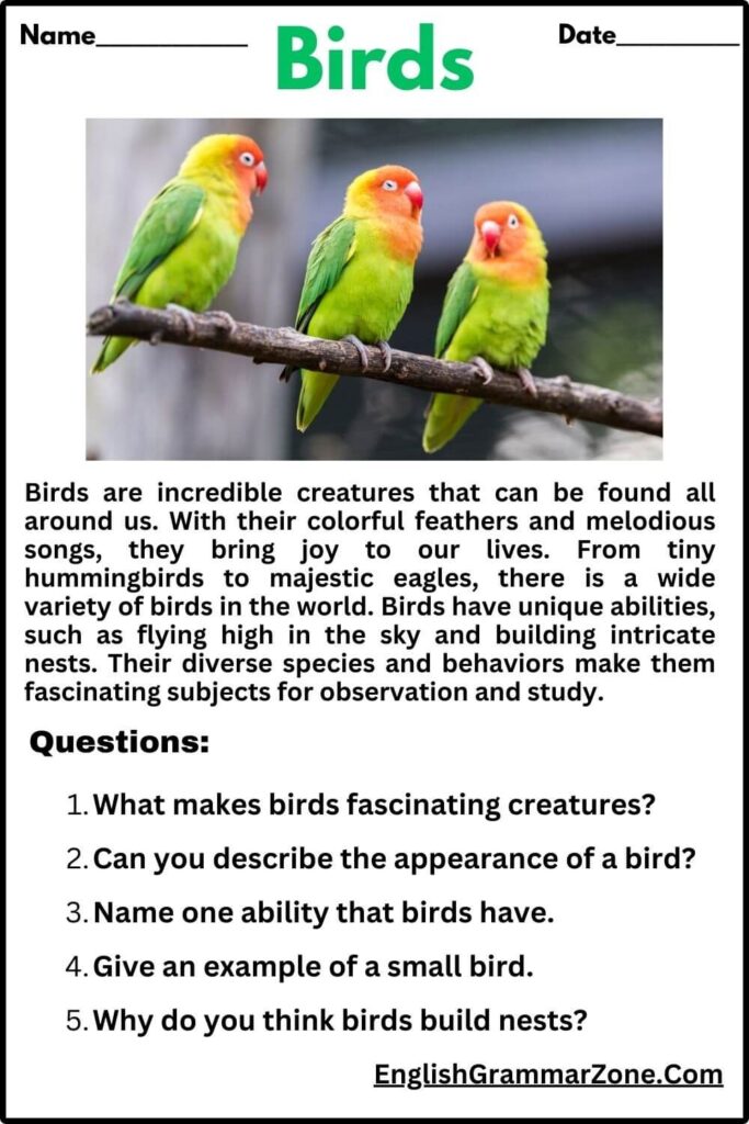 Bird Reading Comprehension Worksheet - Reading Comprehension Worksheets
