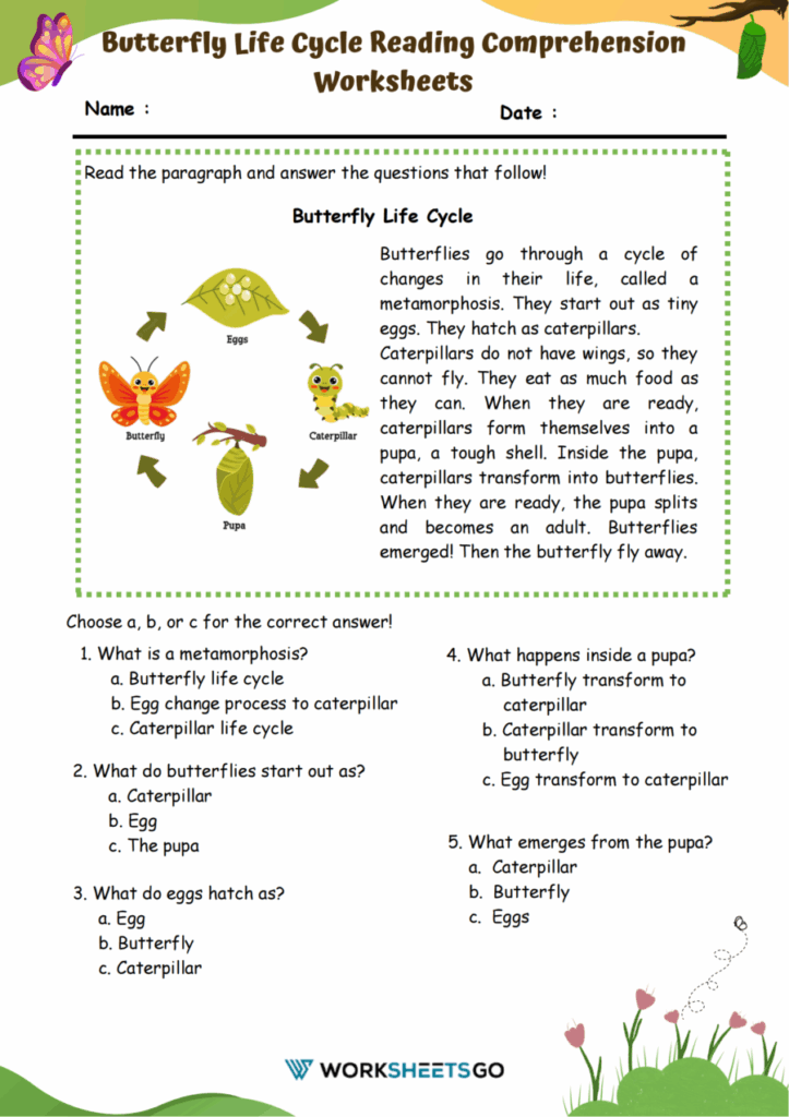 Butterfly Life Cycle Reading Comprehension Worksheets - Reading ...