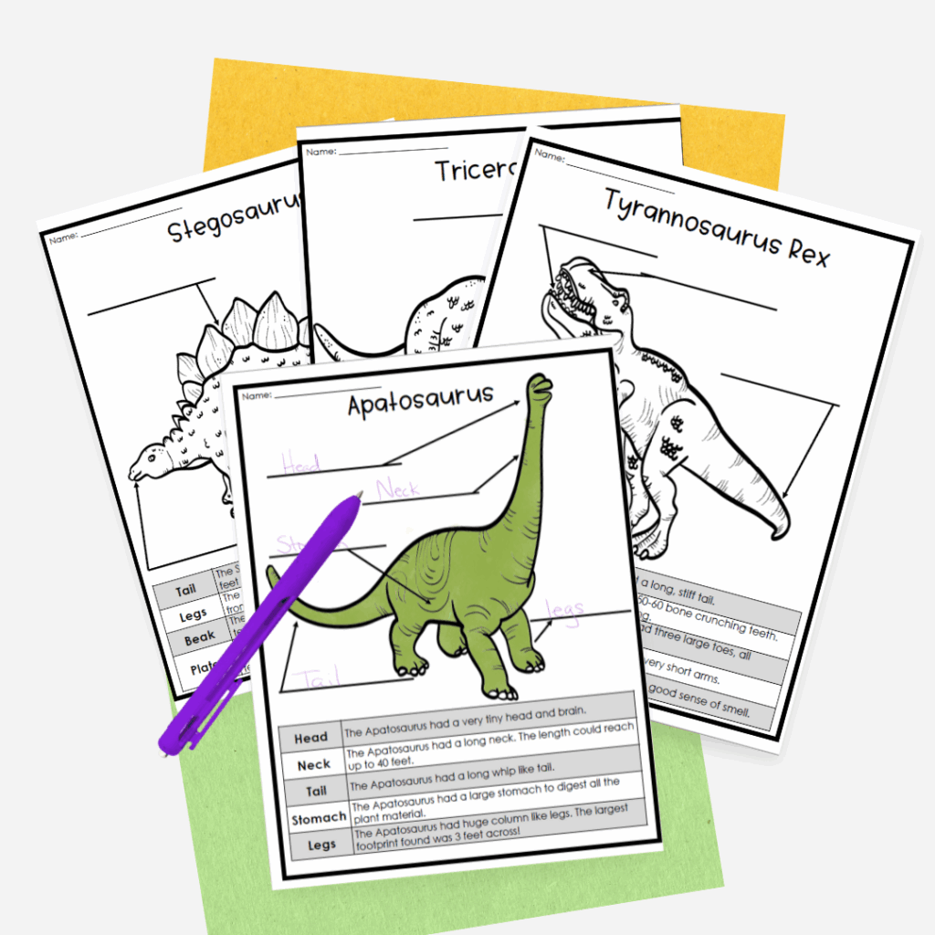 Dinosaur Reading Comprehension Worksheets Ks1 - Reading Comprehension ...