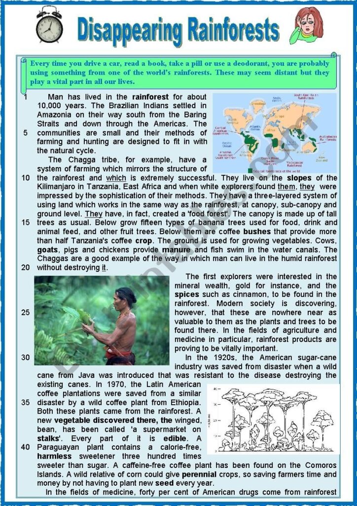 Rainforest Reading Comprehension Worksheets - Reading Comprehension ...