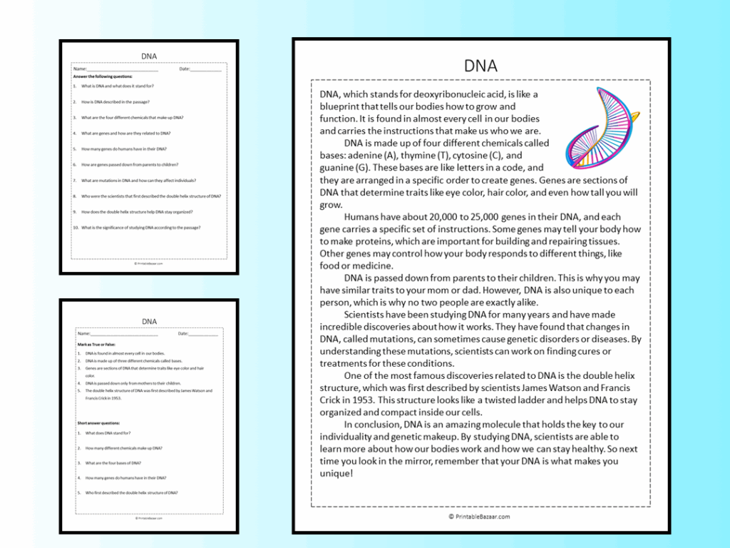 Reading Comprehension Worksheet Dna - Reading Comprehension Worksheets