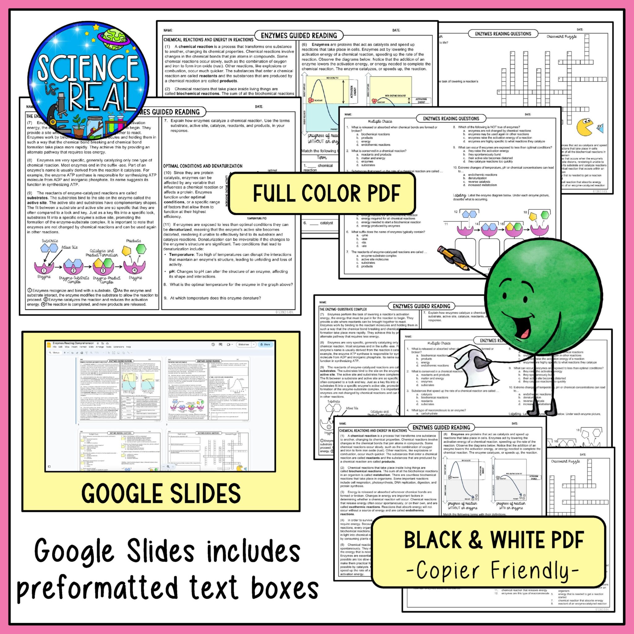 Enzyme Reading Comprehension Worksheet - Reading Comprehension Worksheets