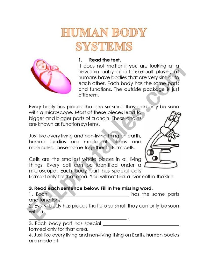 Free Human Body Reading Comprehension Worksheets - Reading ...