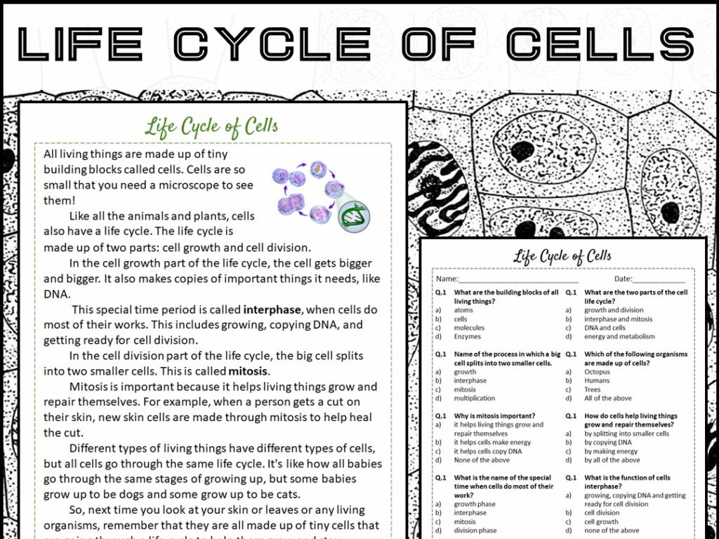 Cells Reading Comprehension Worksheets - Reading Comprehension Worksheets