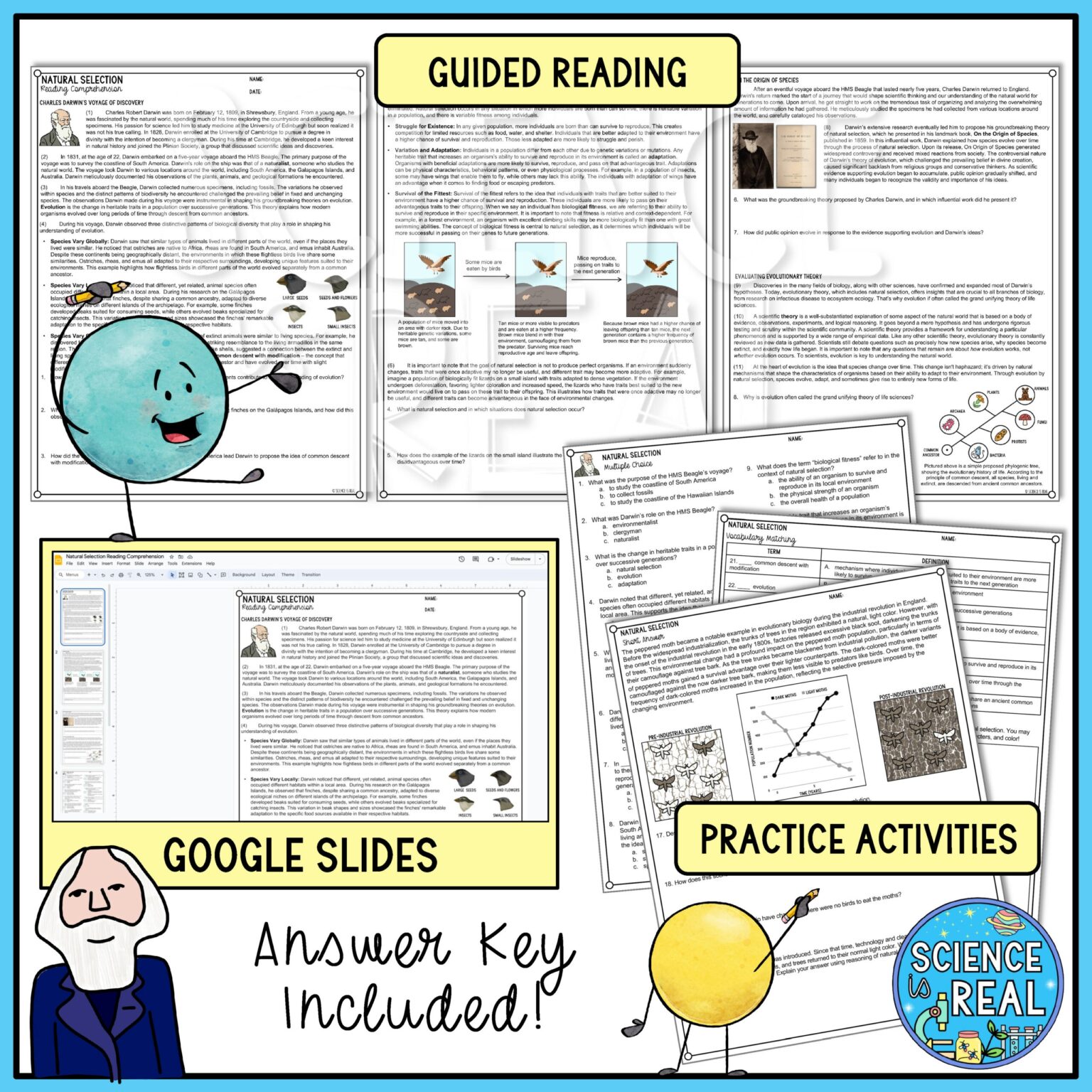 Natural Selection Reading Comprehension Worksheet - Reading ...