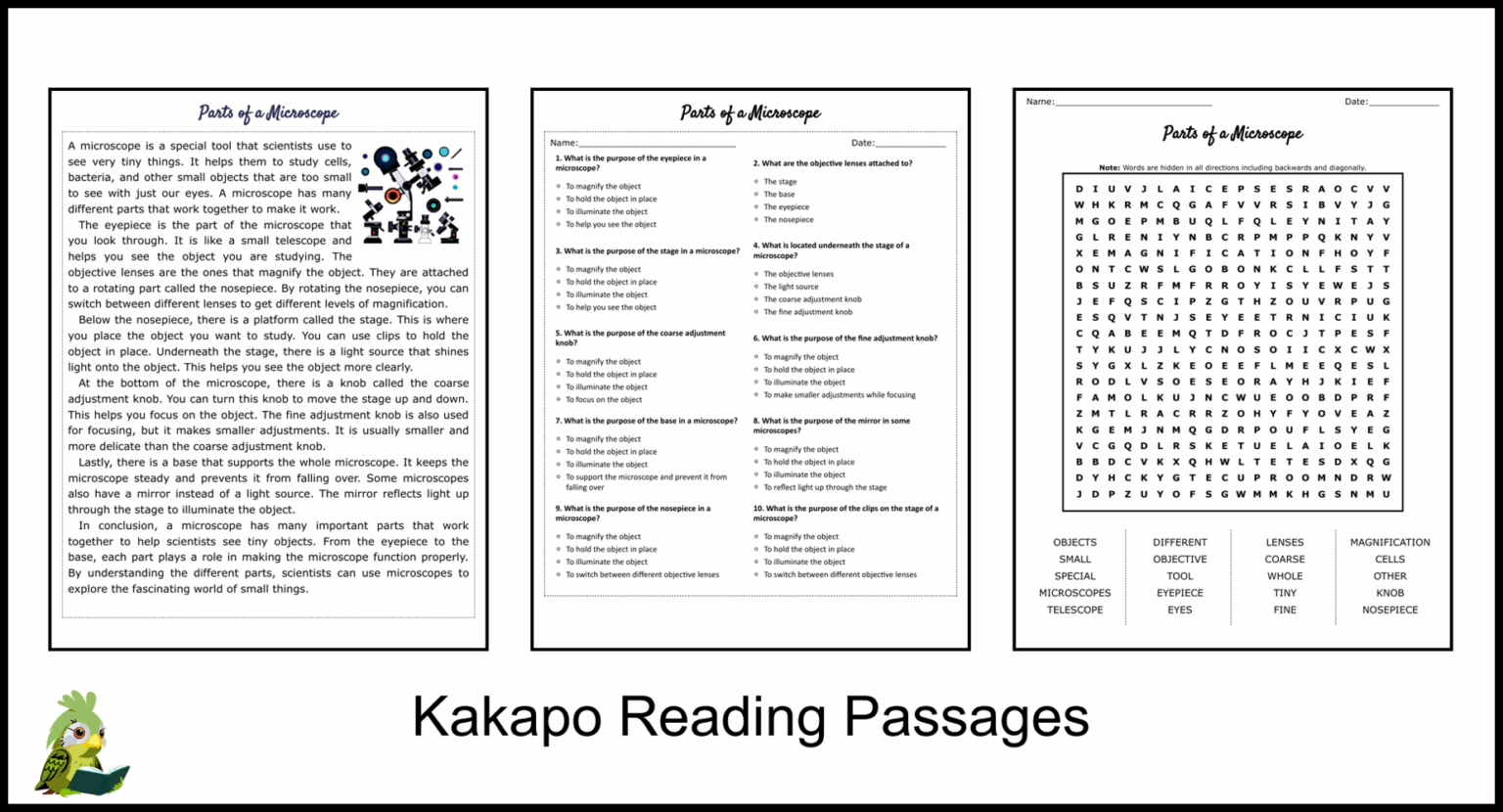 Microscope Reading Comprehension Worksheet Pdf - Reading Comprehension ...