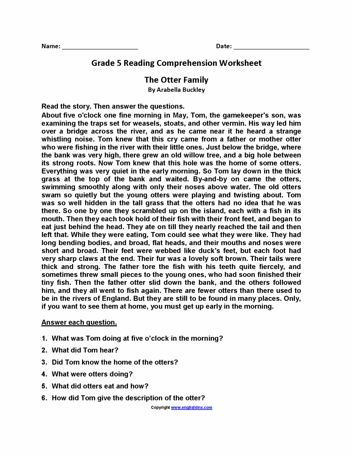 5th Grade Reading Comprehension Worksheets - Reading Comprehension ...