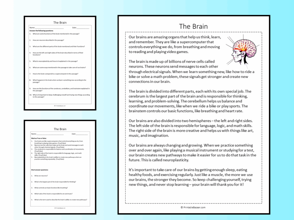 Brain Reading Comprehension Worksheet - Reading Comprehension Worksheets