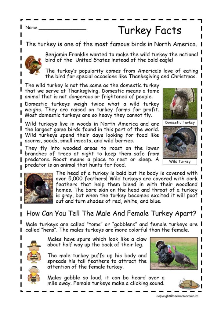 Turkey Reading Comprehension Worksheets - Reading Comprehension Worksheets